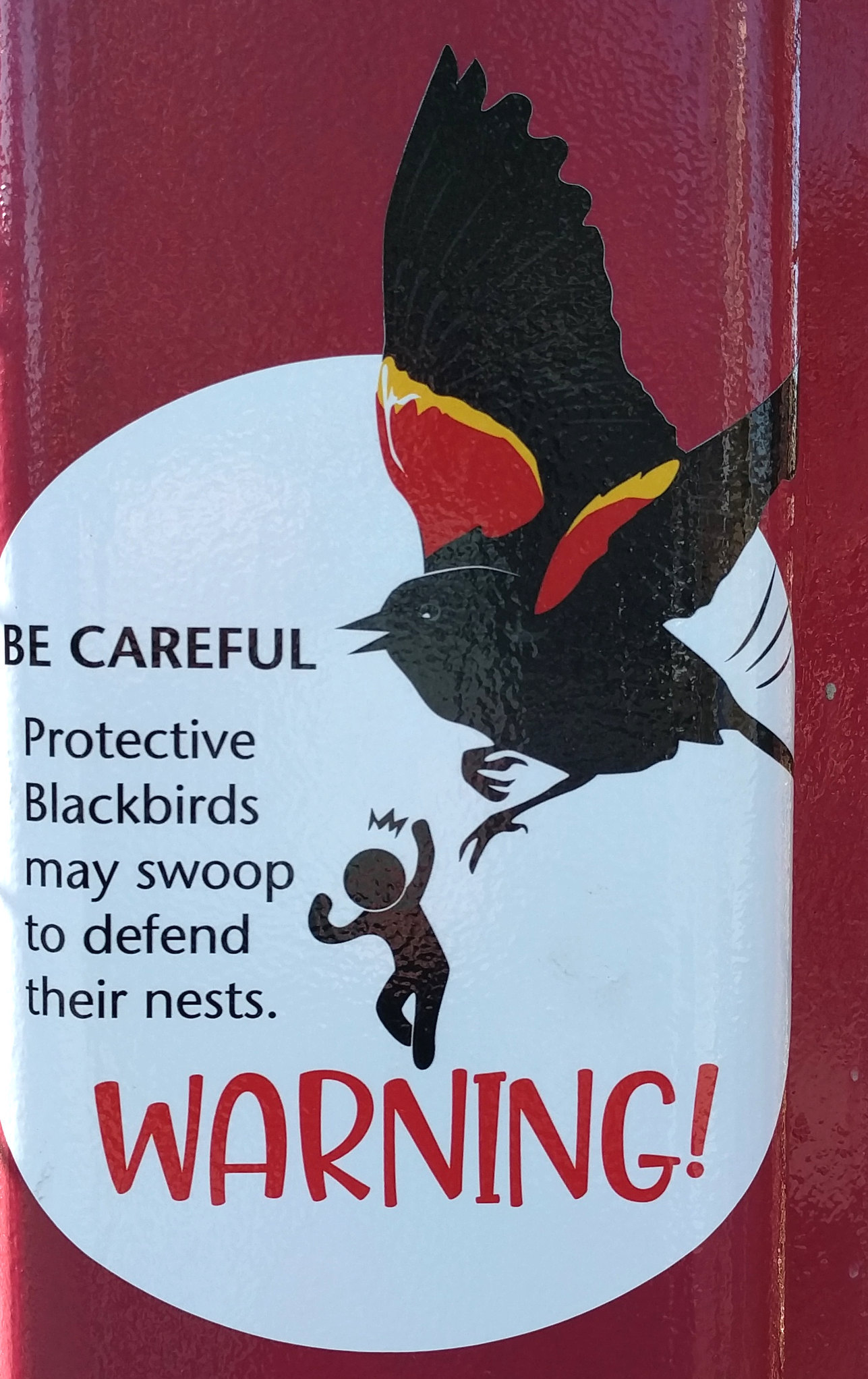 Why Do Little Birds Mob Big Birds?