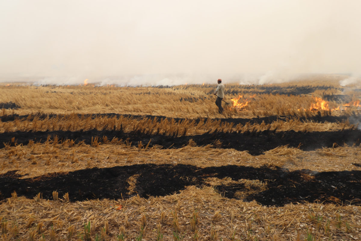 Fields on Fire: Can Agricultural Alternatives Mean Cleaner Air in India ...