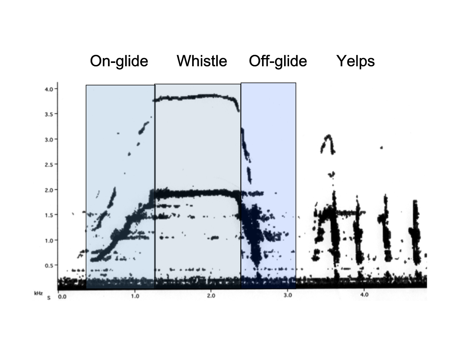 A Field Guide to Elk Bugling