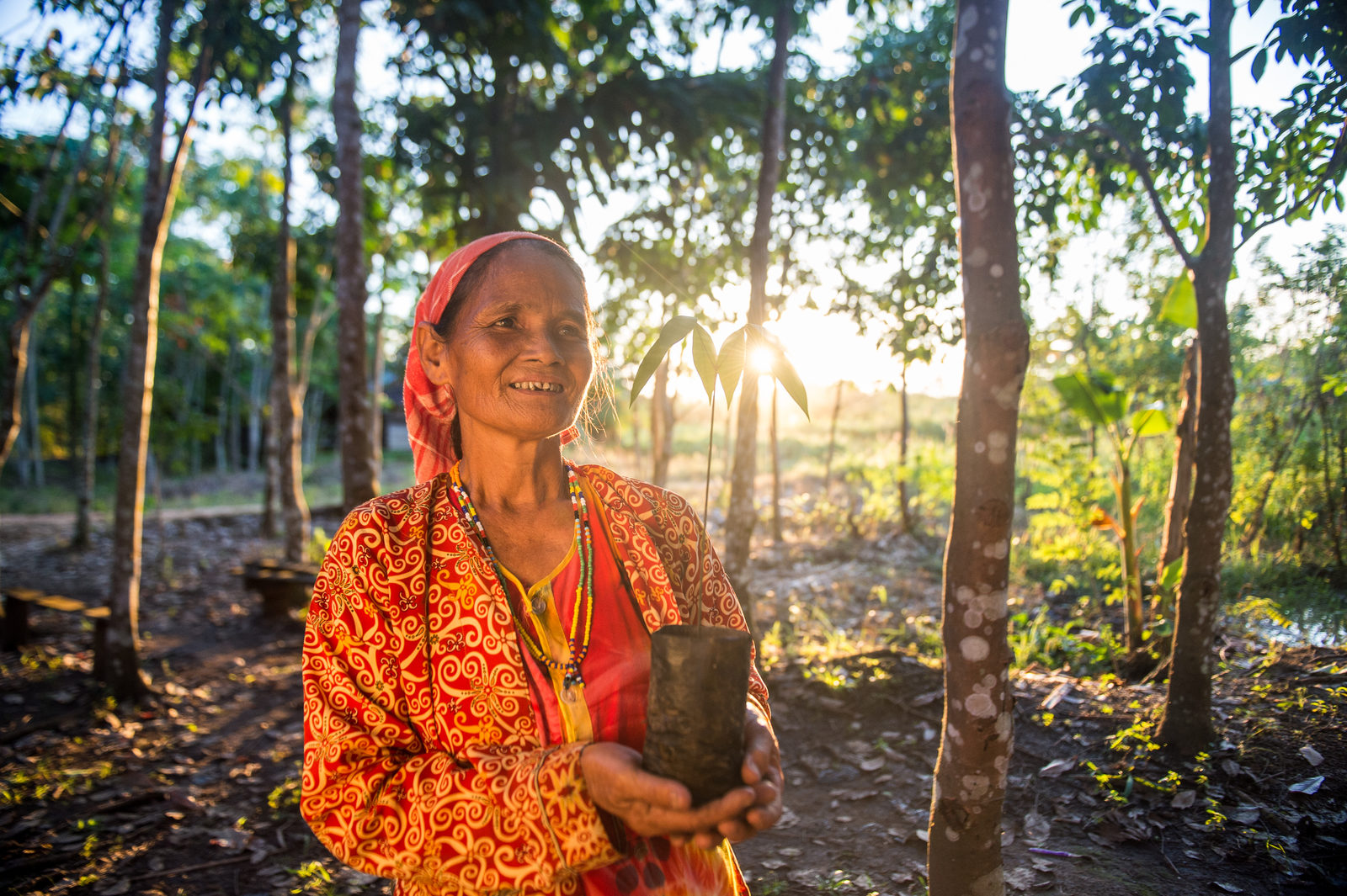 Incorporating Conservation Into Public Health Frameworks - Cool Green ...