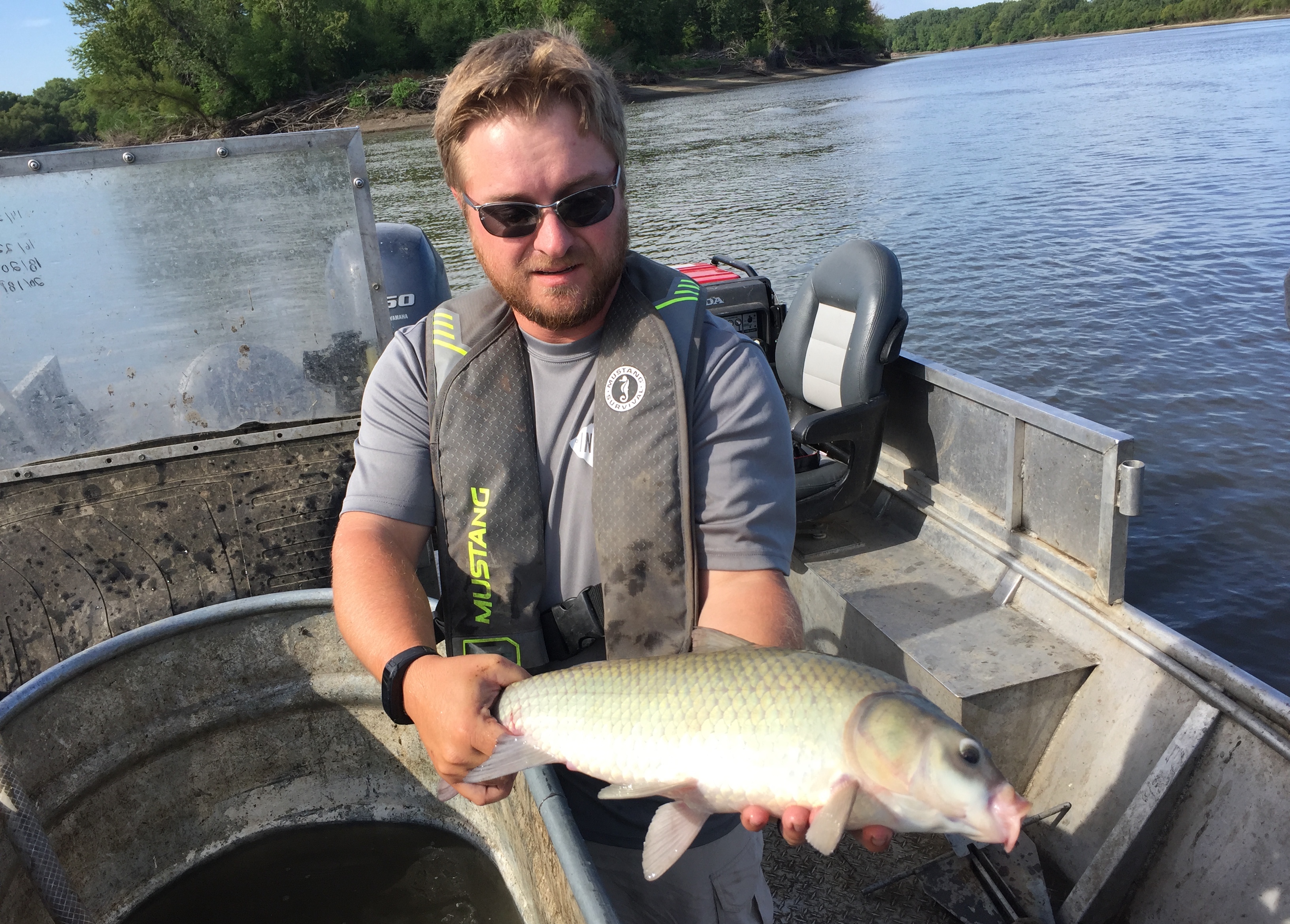 The Carp Show: An Inside Look at the Jumping Fish Invasion