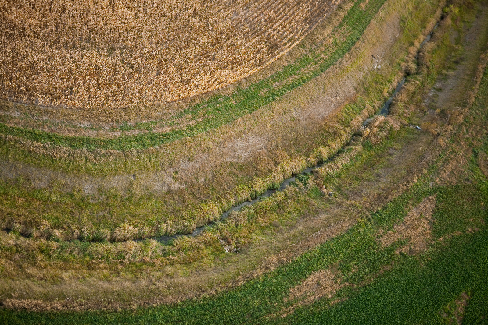 Floodplains: Protecting & Restoring an Overlooked Ecosystem