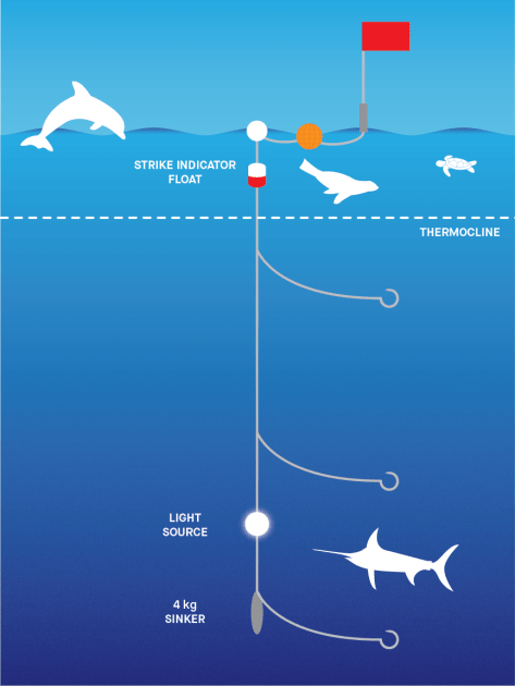 Sustainable Swordfish: Fishing Deep for Conservation Solutions