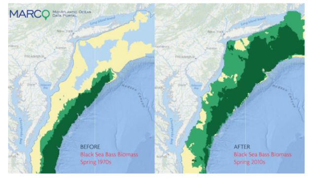 Putting Evidence into Action: Solutions for Climate-Ready Fisheries ...