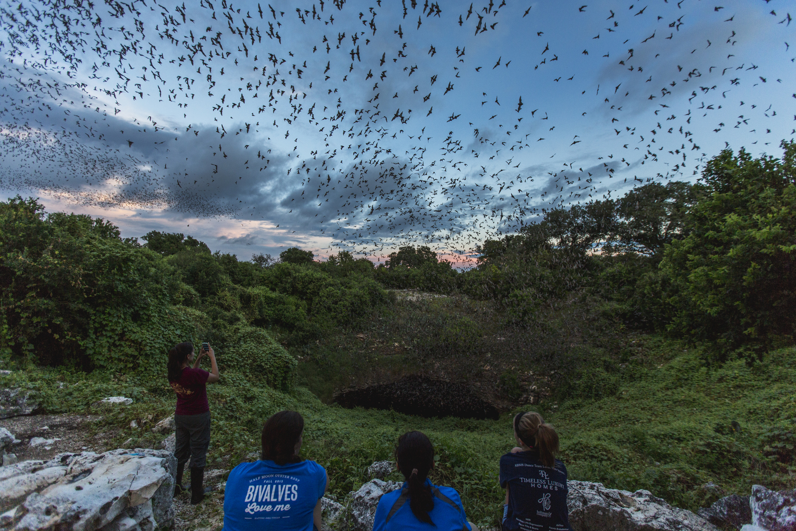 The Big Bat Year: A Quest to See the World’s Bats