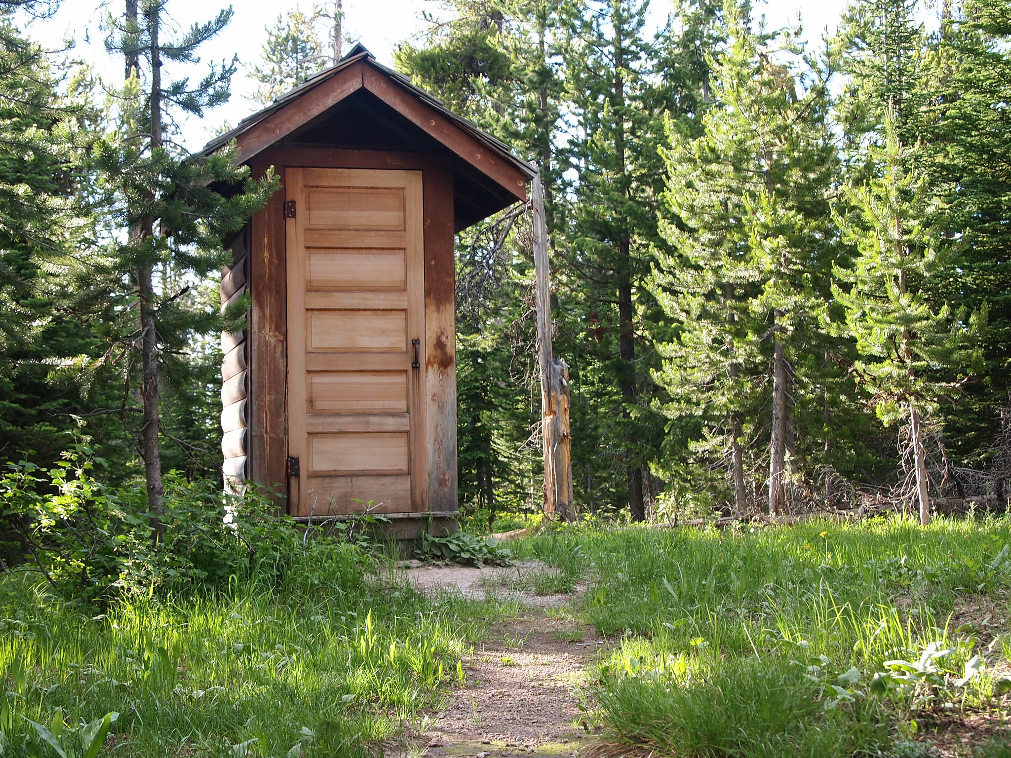 Campground Critters: A Natural and Personal History