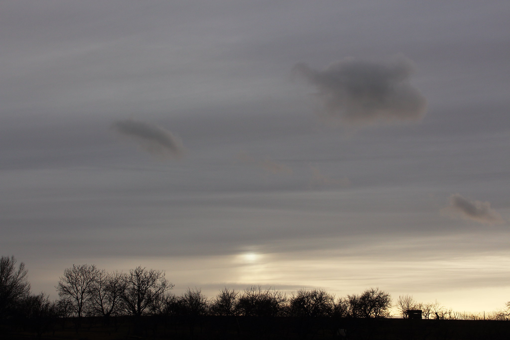 What’s That Cloud? Your Guide to Cloudspotting