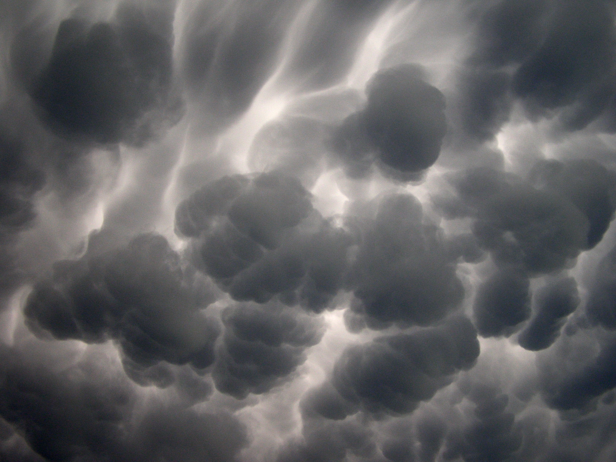 What’s That Cloud? Your Guide to Cloudspotting