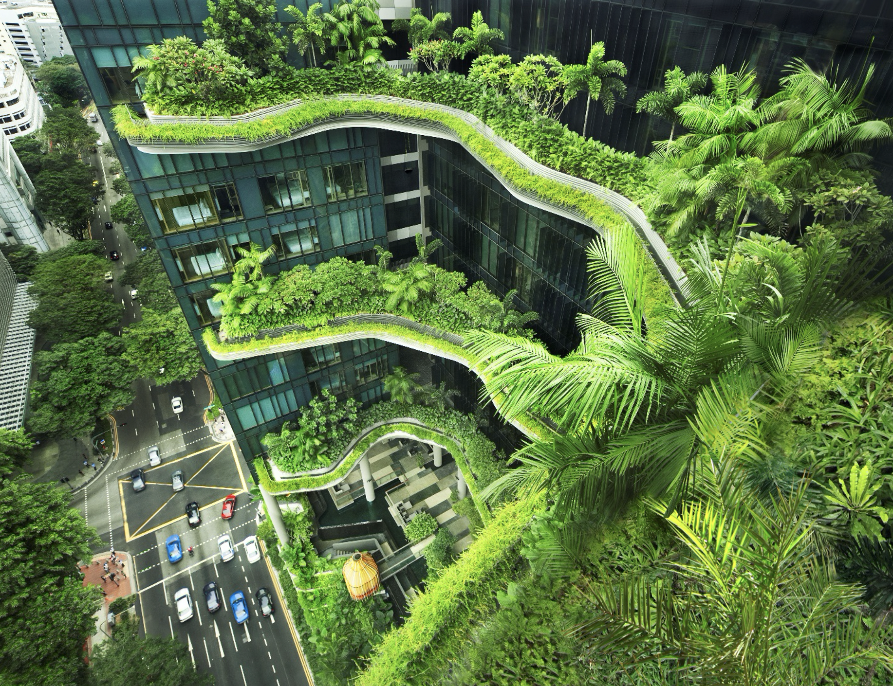Biophilic Cities For An Urban Century