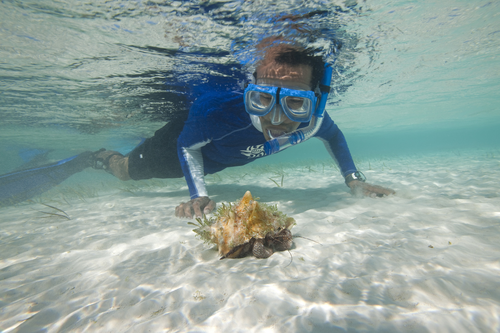 Biodiversity Conservation in the Age of Climate Change - Cool Green Science