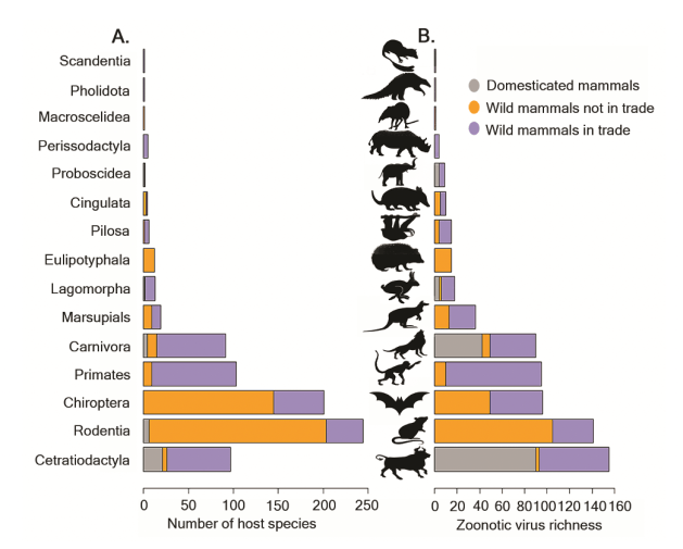 Mammals, Wildlife Trade + the Next Global Pandemic - Cool Green Science