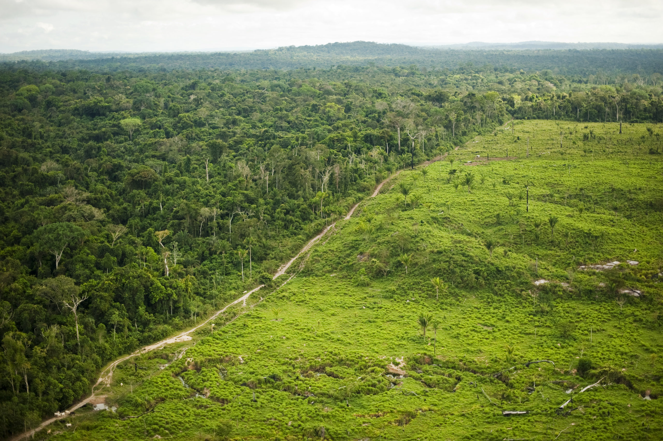 Mapping Monitoring Zero-Deforestation Commitments
