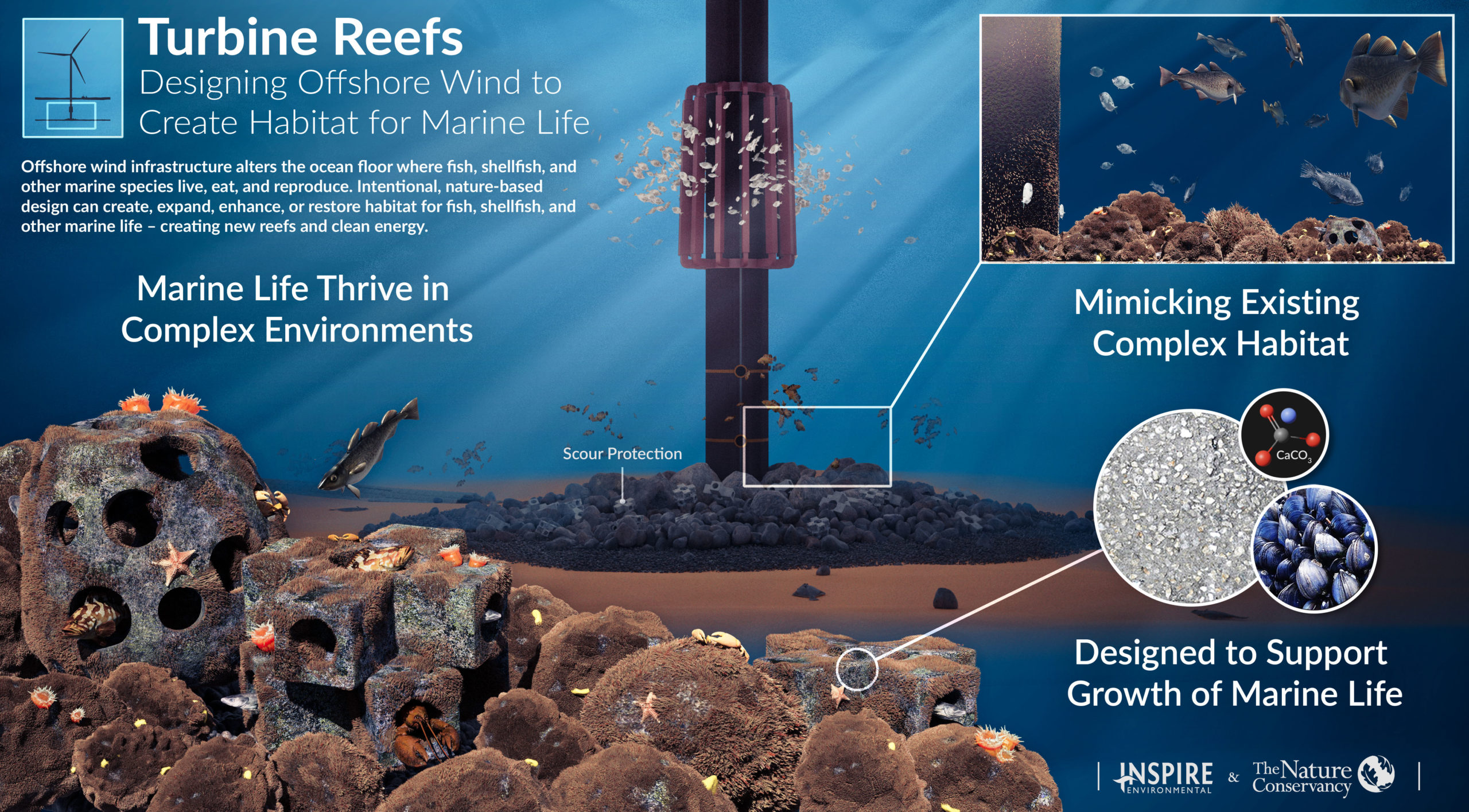 Can Offshore Wind Development Enhance Fish Habitat? - Cool Green Science