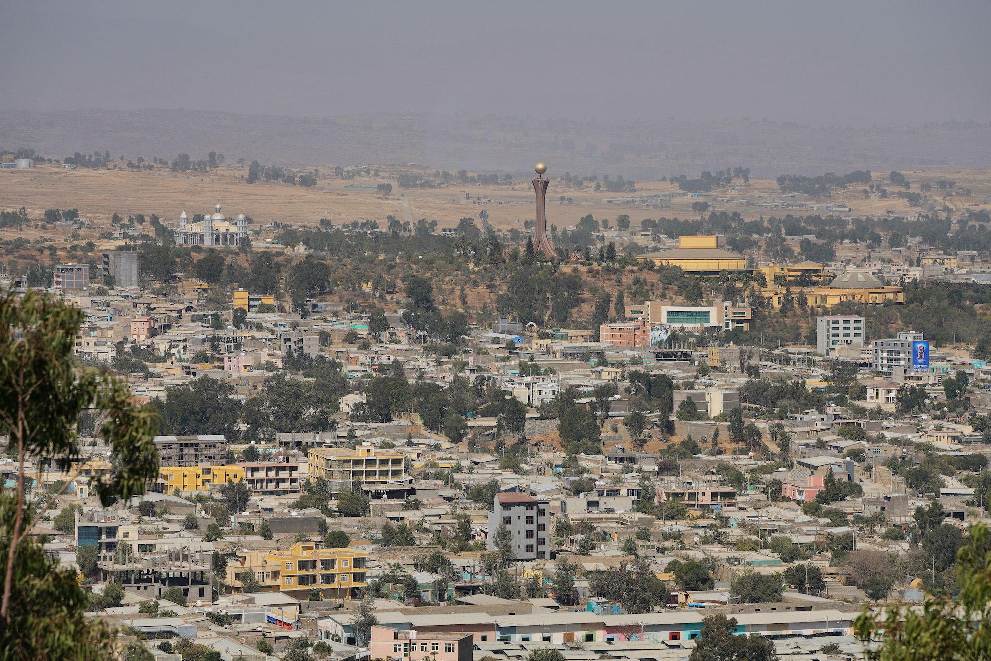 How Hyenas Sanitize The City
