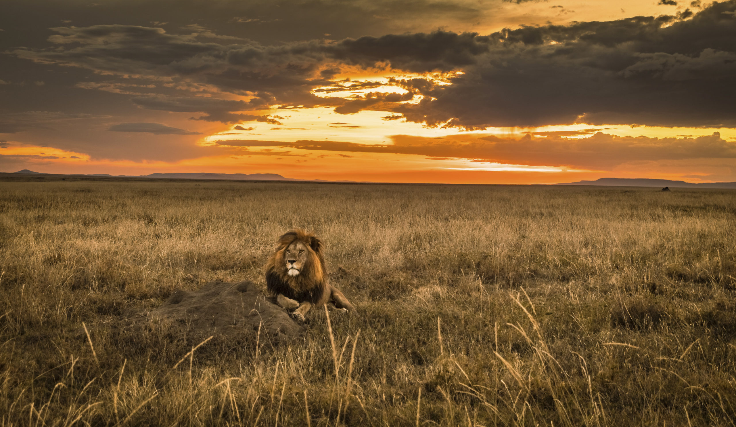 Cool Green Science - Stories of The Nature Conservancy