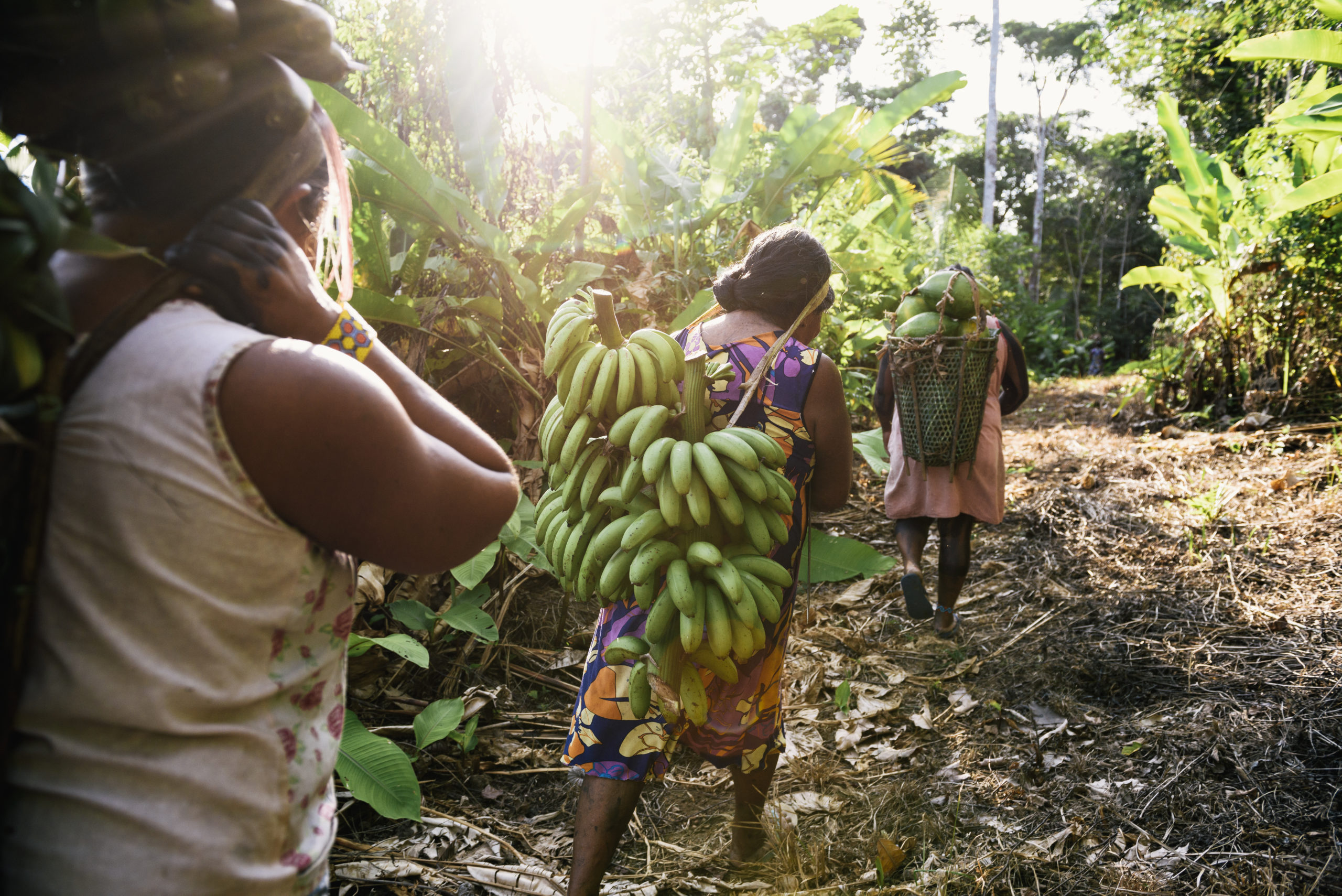Cool Green Science - Stories of The Nature Conservancy