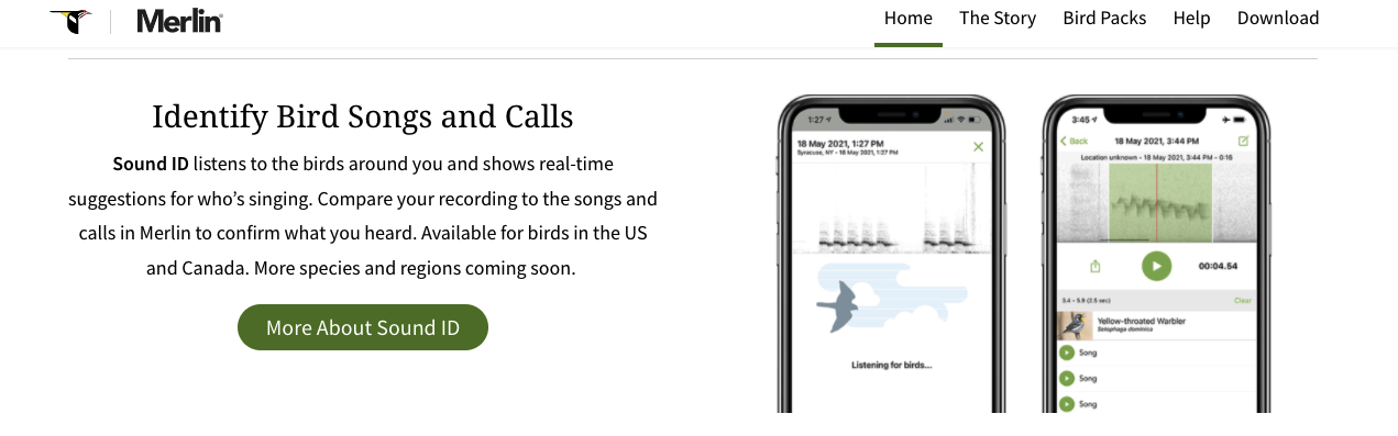 The Sound of Merlin: Like Shazam, but for Birds - Cool Green Science