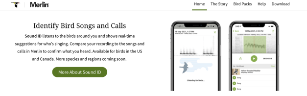 The Sound of Merlin: Like Shazam, but for Birds - Cool Green Science