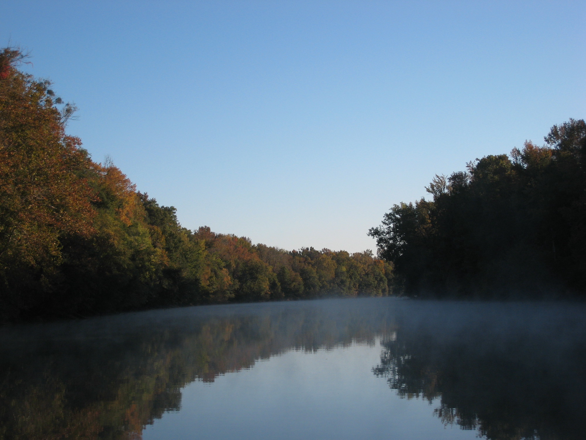 Protecting and Restoring the Floodplain Forest