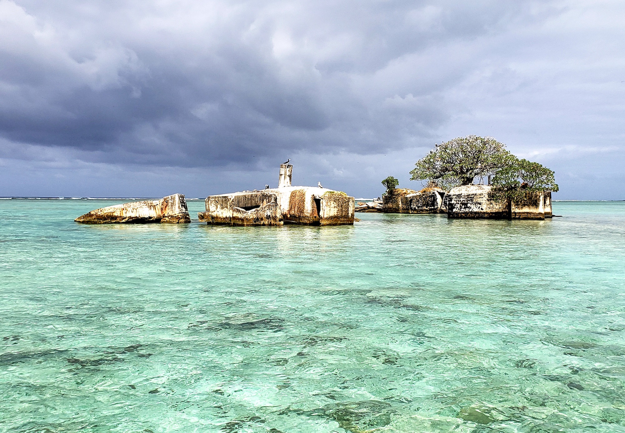 Fishing for Science on Palmyra Atoll