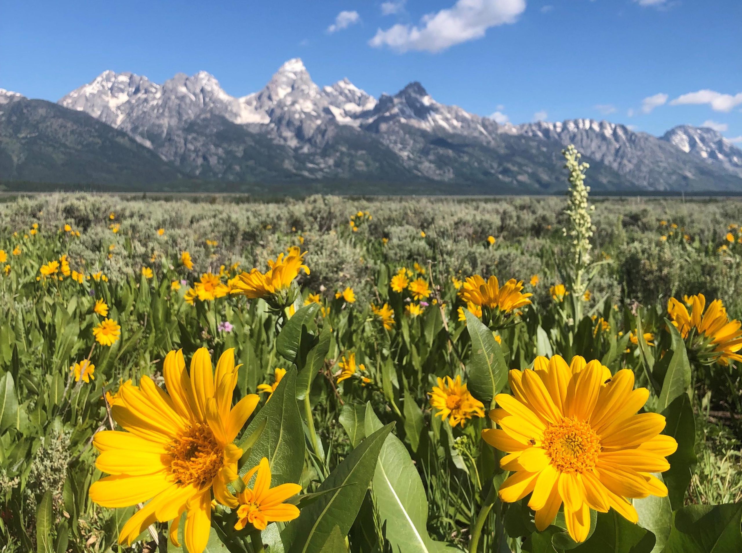 Cool Green Science - Stories of The Nature Conservancy