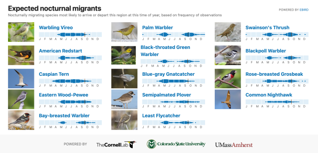 BirdCast: It's Like a Weather Forecast, But for Birds