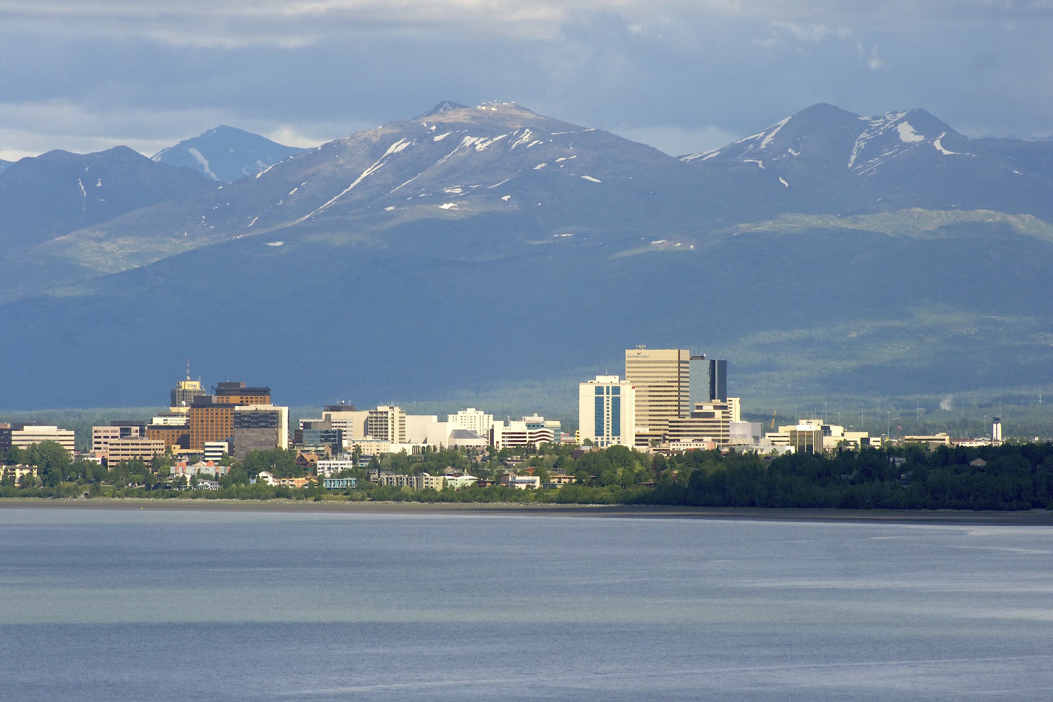 The Weirdest Places You Can Find Wild Turkeys