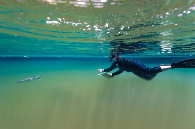 Conservation Science - Cool Green Science