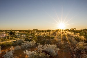 Cool Green Science - Stories of The Nature Conservancy