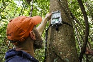 Explore - Cool Green Science