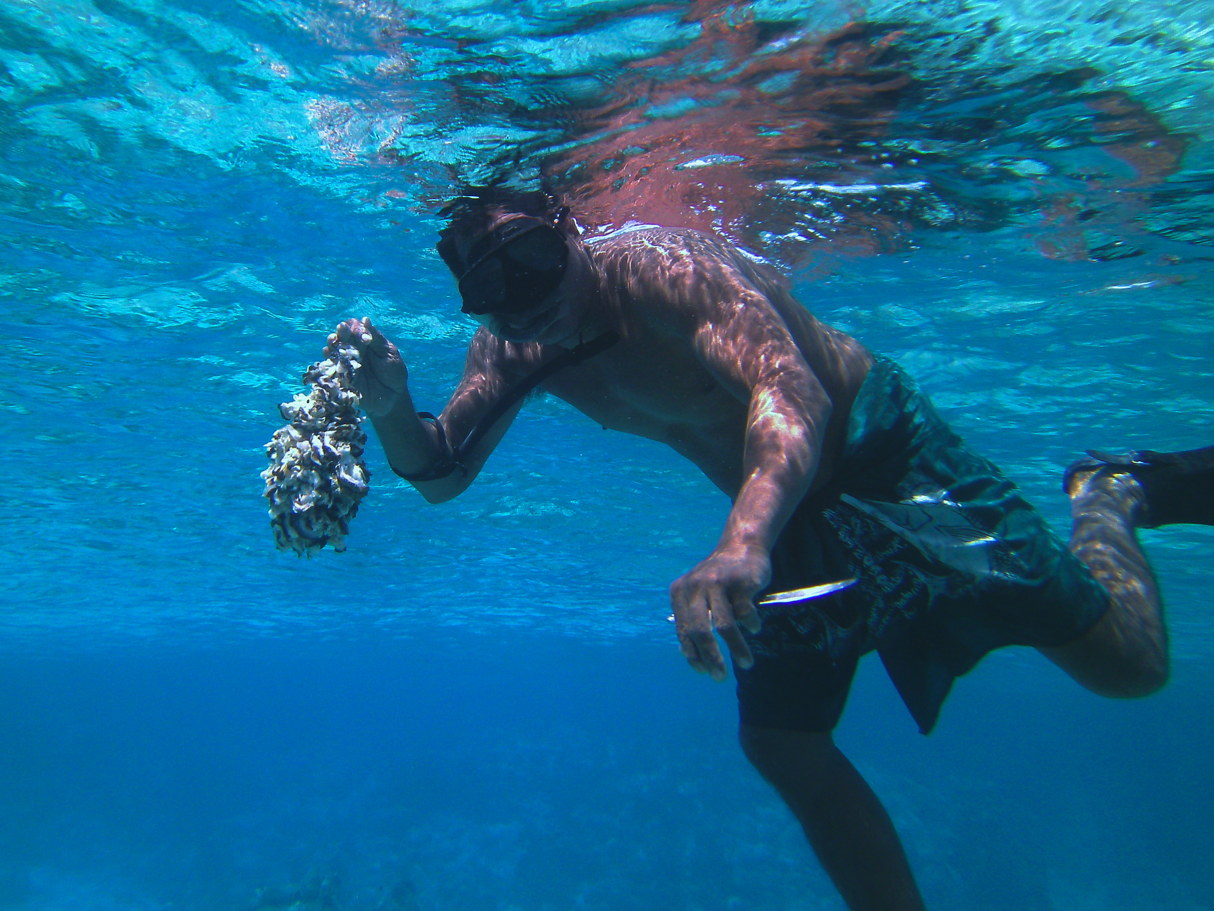 8 Invasive Animals You Didn’t Know Were Invasive