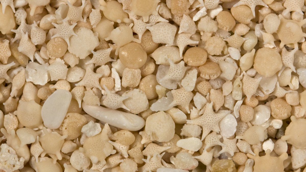 Amazing Sands from Around the World