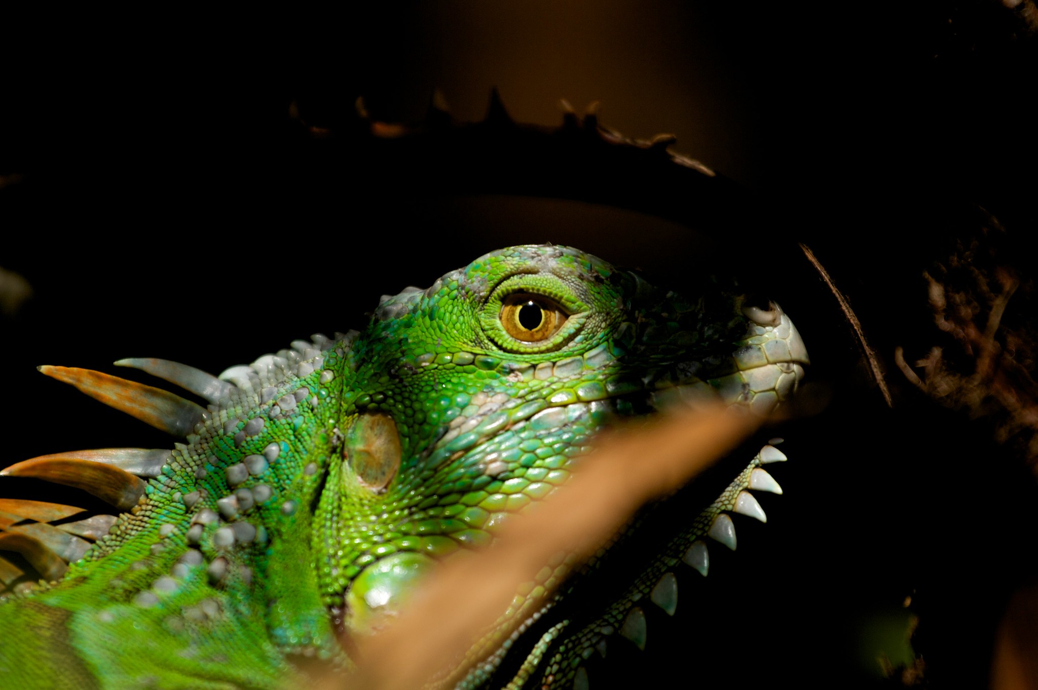 Cool Green Science - Stories of The Nature Conservancy