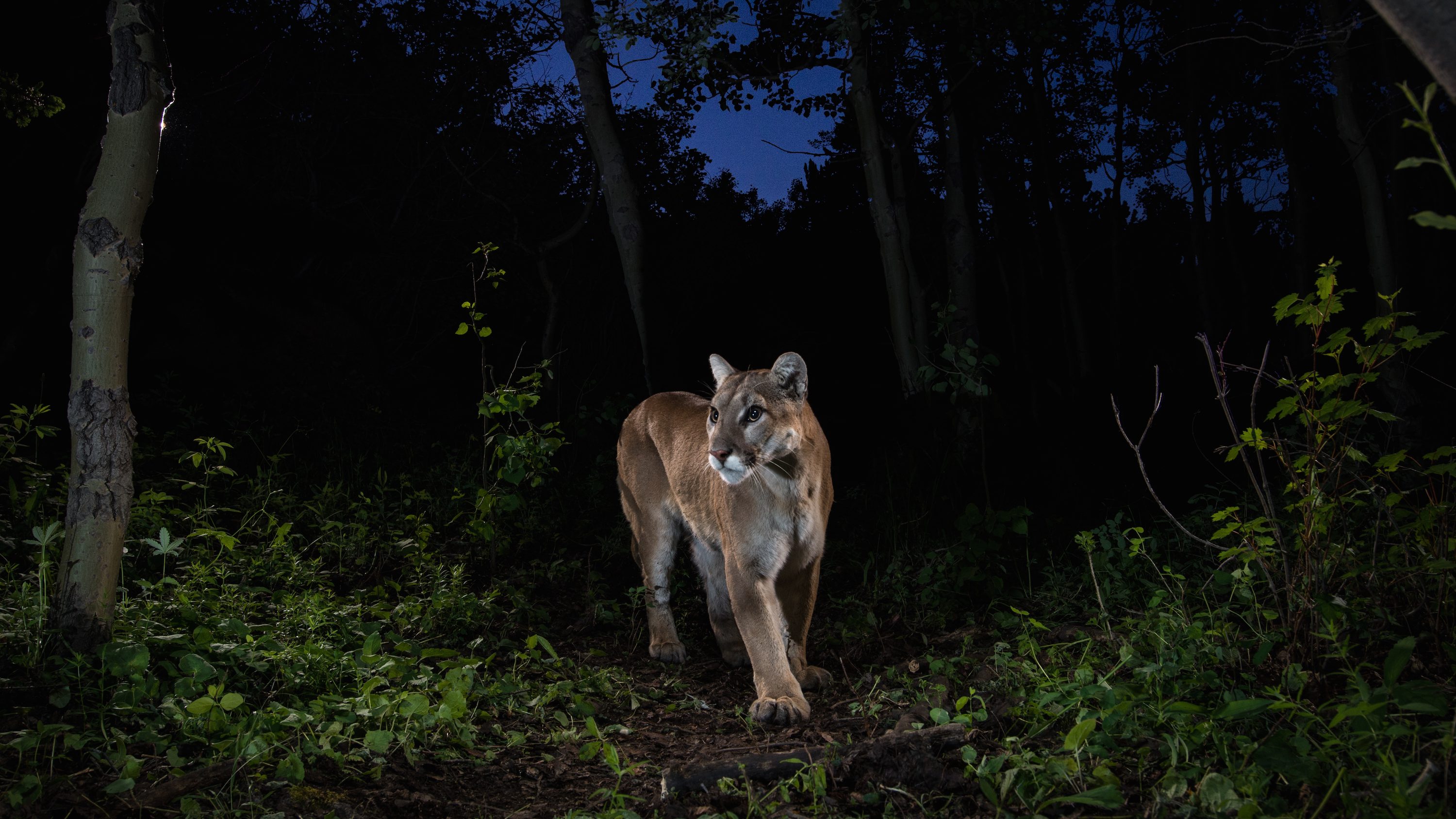 7 Science Innovations That Are Changing Conservation - Cool Green Science