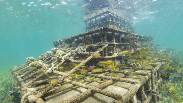 Kids, Drones & Science at the Water's Edge in Grenada