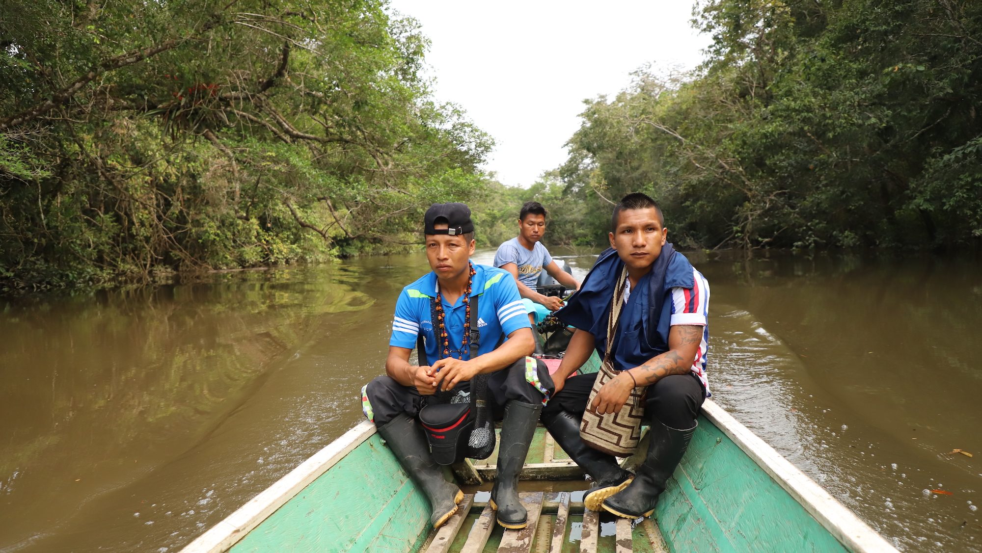 Dorado Catfish: Protecting an Epic Migration - Cool Green Science