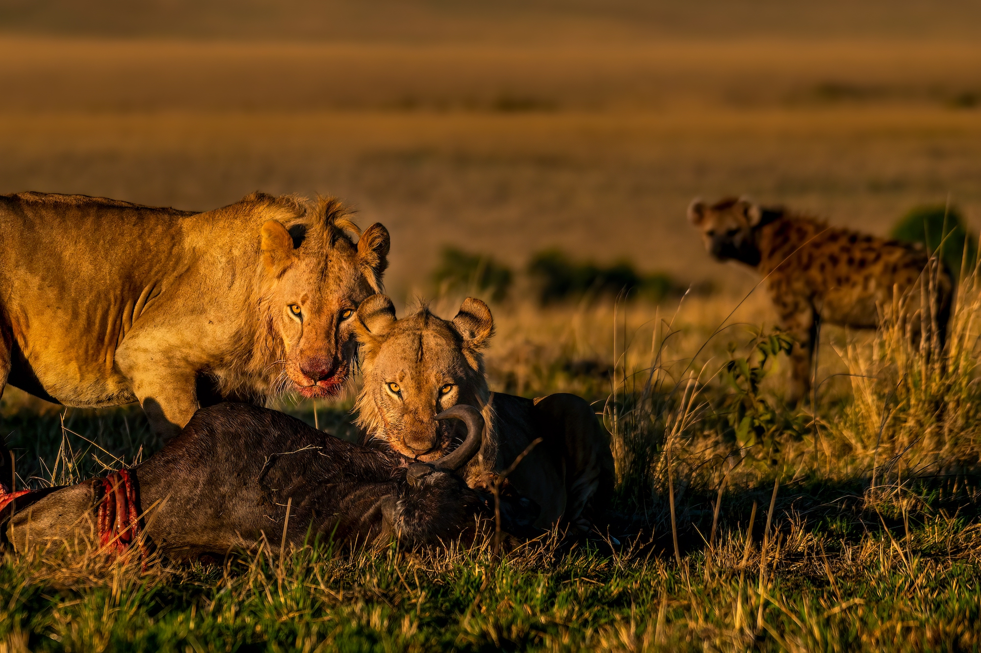 Cool Green Science - Stories of The Nature Conservancy