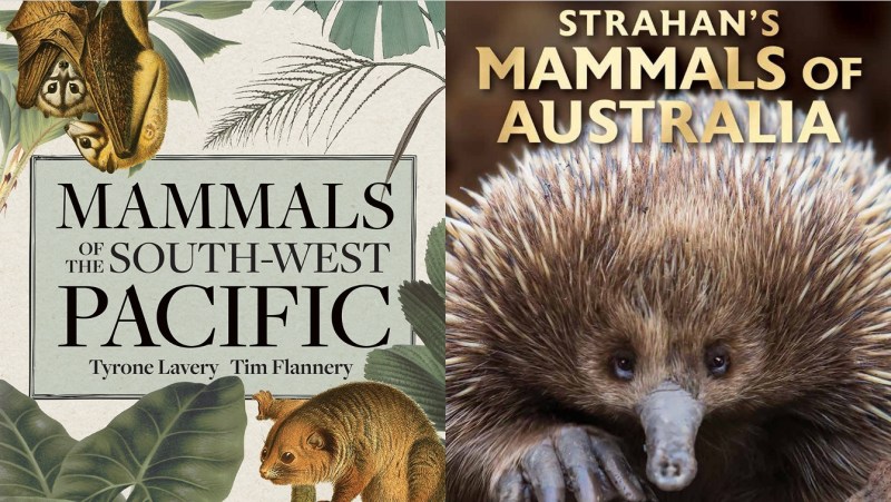 Why Do Marsupials Have Pouches? And Other Questions