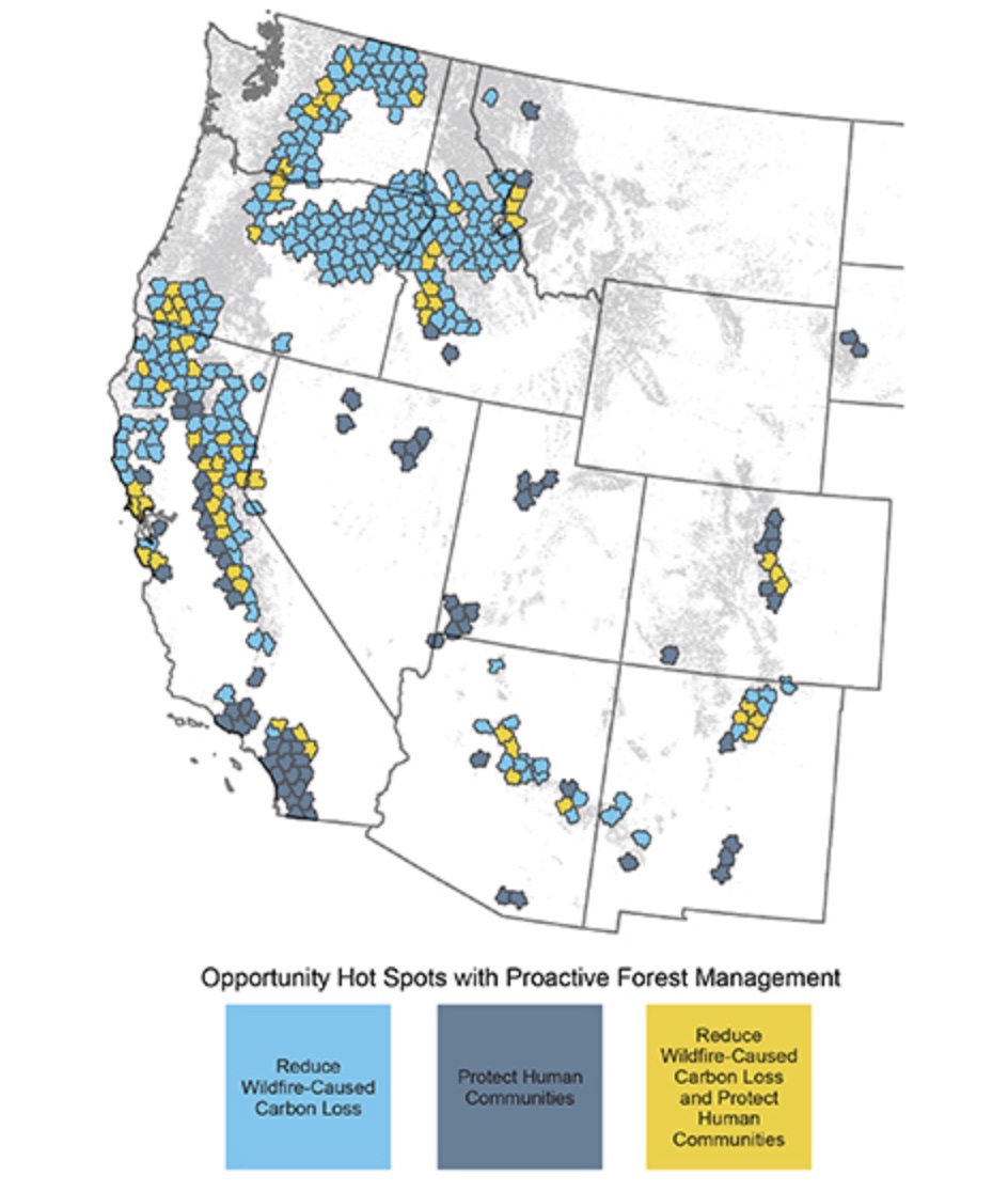 Where Forest Management in the U.S. can Keep Carbon in Forests