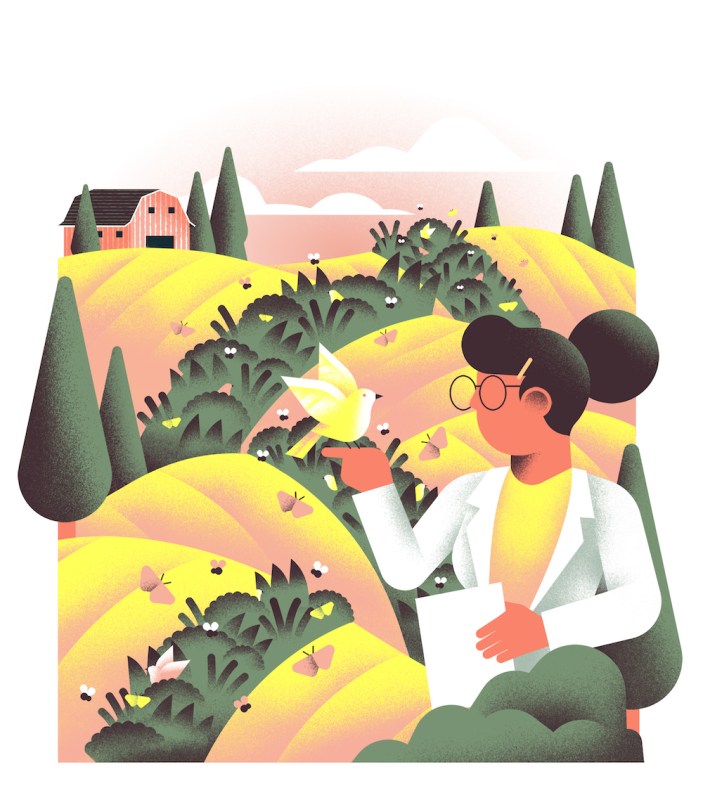 How To Bring Back the Prairie, a Tiny Bit at a Time - Cool Green Science