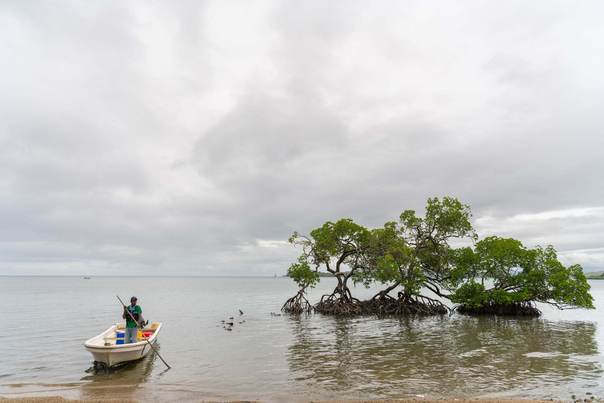 Loss of Coastal Ecosystems Increases Risk from Tropical Cyclones - Cool ...
