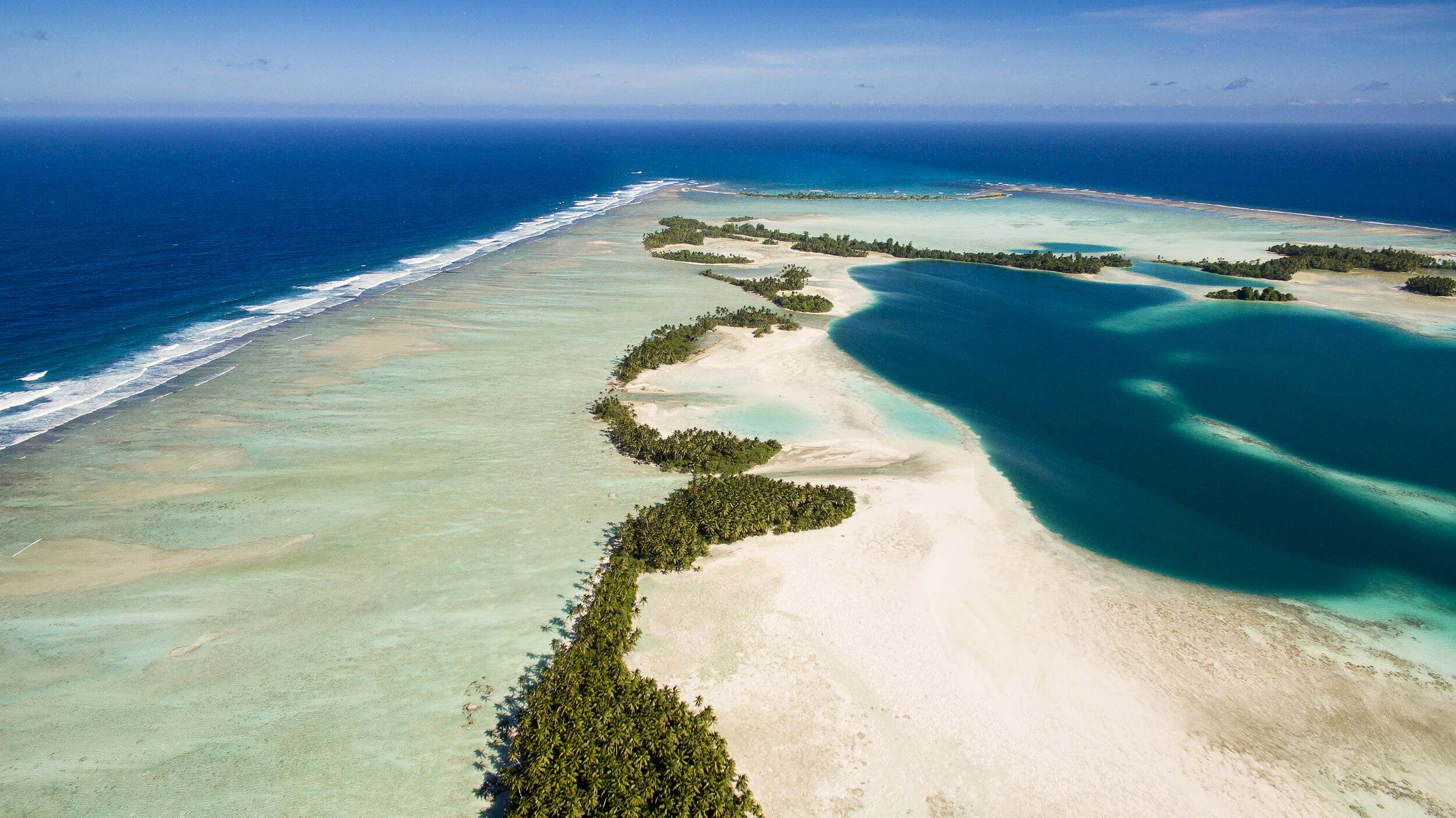 Coral Atolls are Not a Lost Cause - Cool Green Science