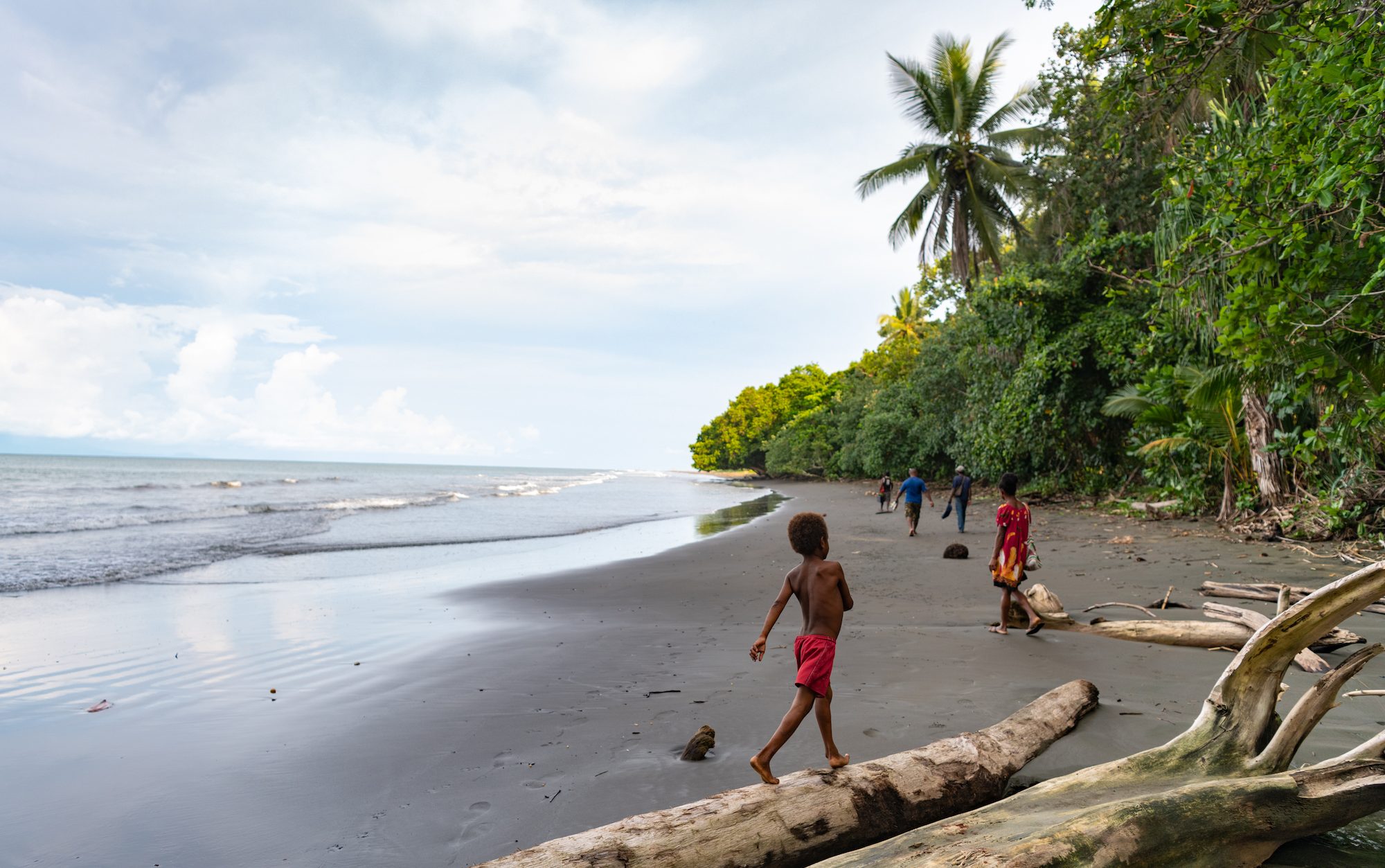 Communities Unite to Save Forests from Logging in PNG