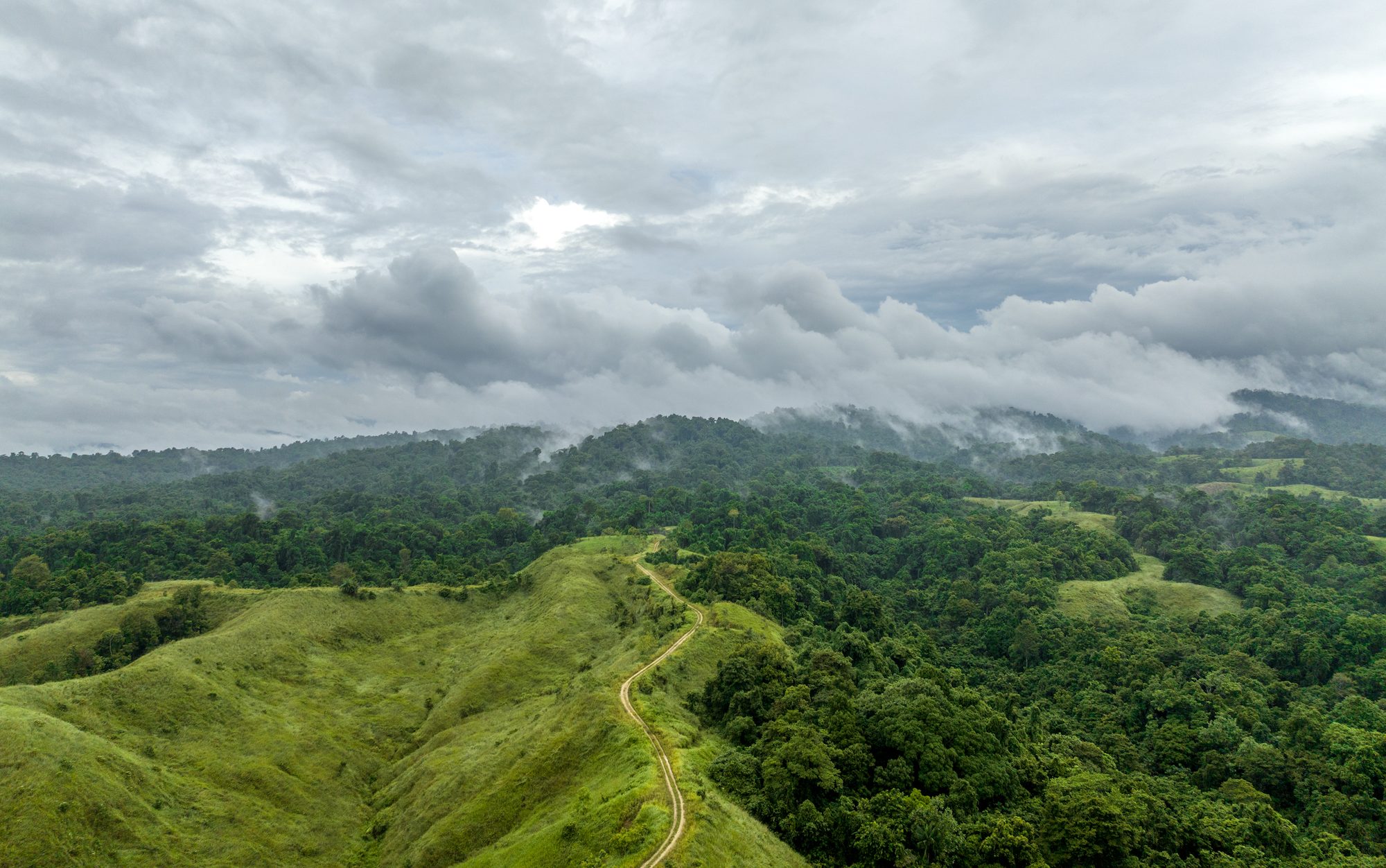 Communities Unite to Save Forests from Logging in PNG