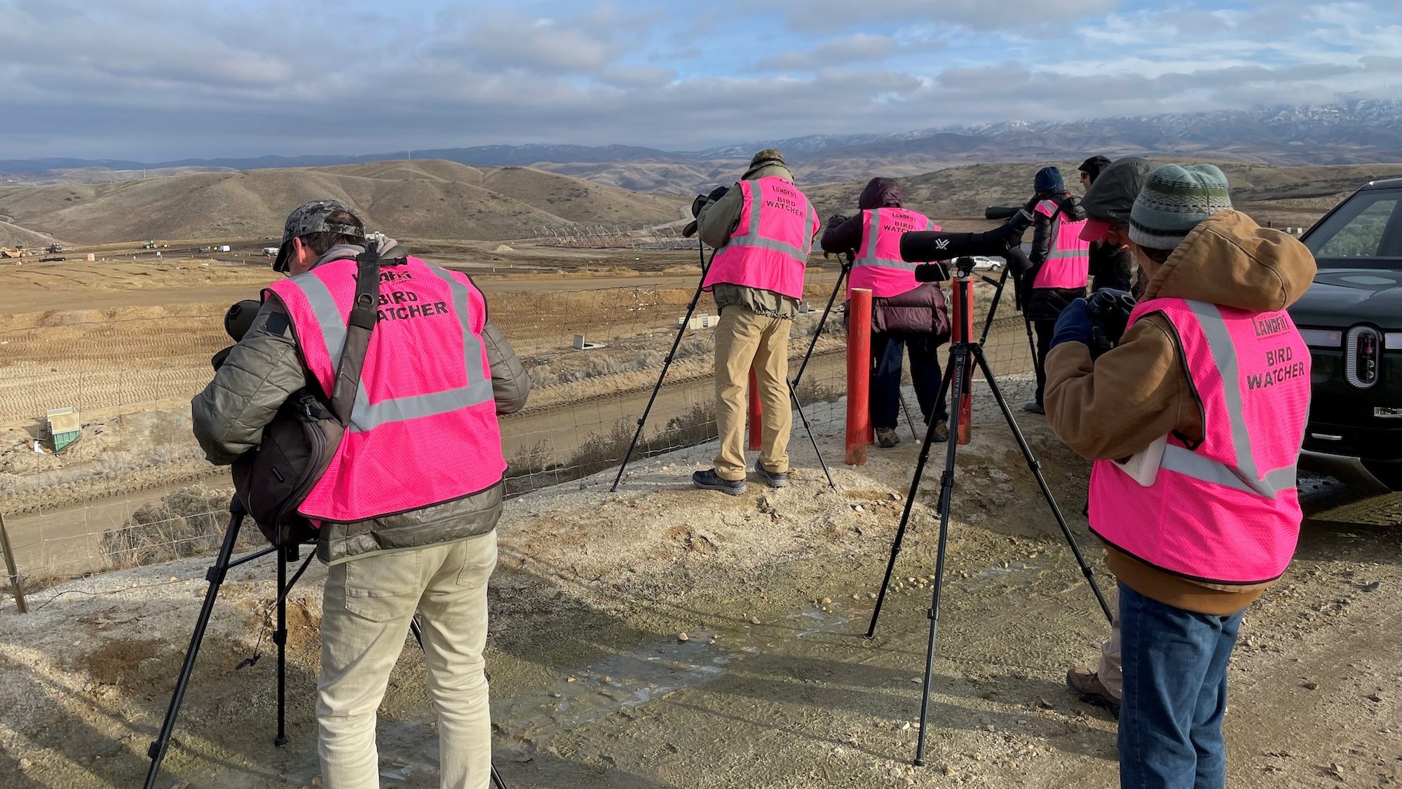 Extreme Birding: Gull Watching at the Landfill - Cool Green Science