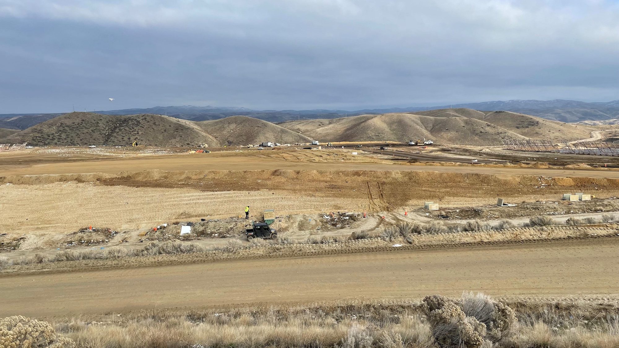 Extreme Birding: Gull Watching at the Landfill - Cool Green Science