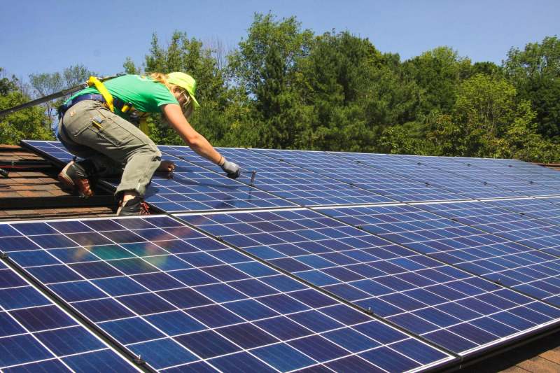 Meet the Argonaut, The World’s Weirdest Octopus