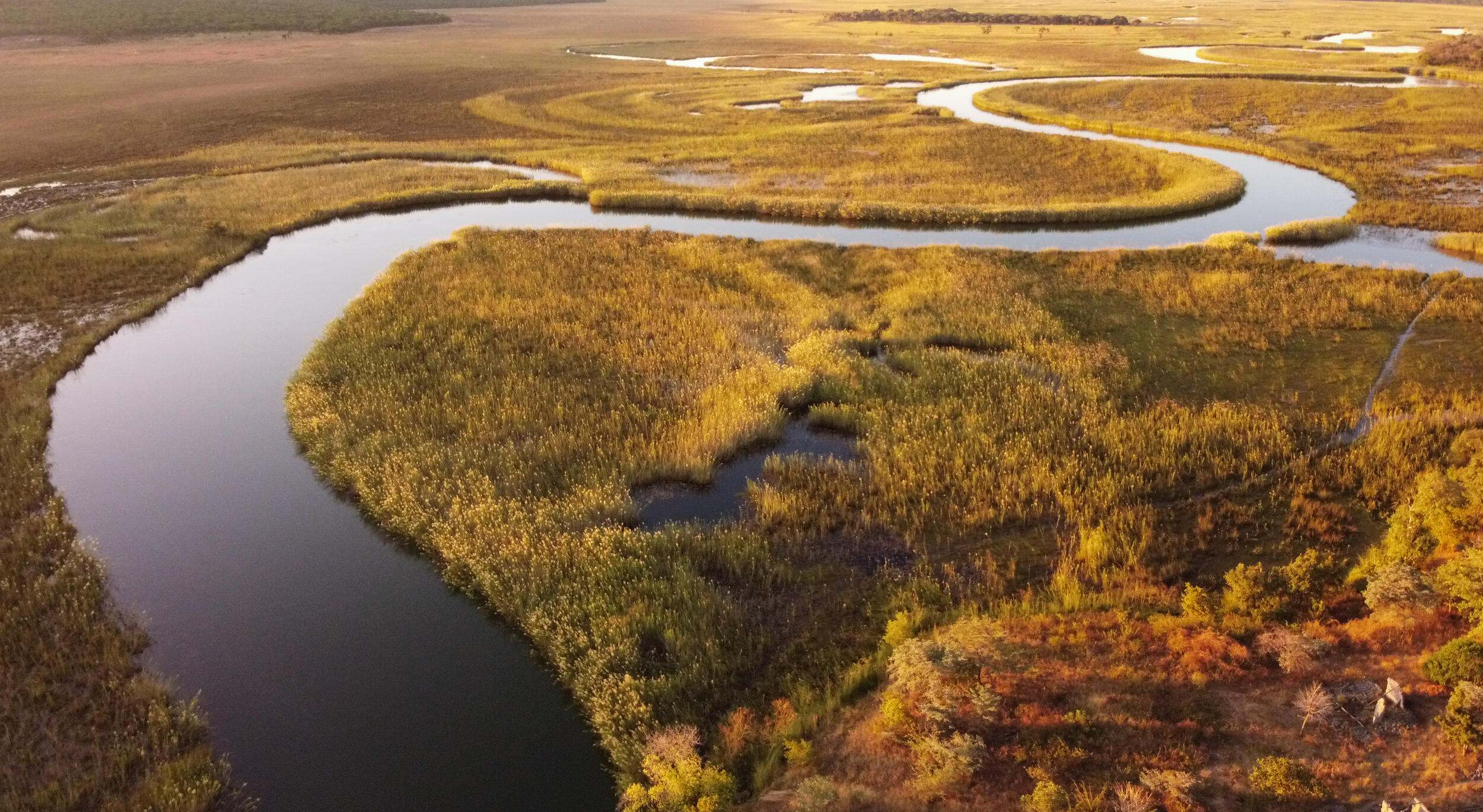 Peatlands Are One of Earth’s Most Underrated Ecosystems - Cool Green ...