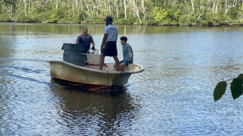 A Future with Sturgeon: A Personal Journey with Dinosaur Fish - Cool ...