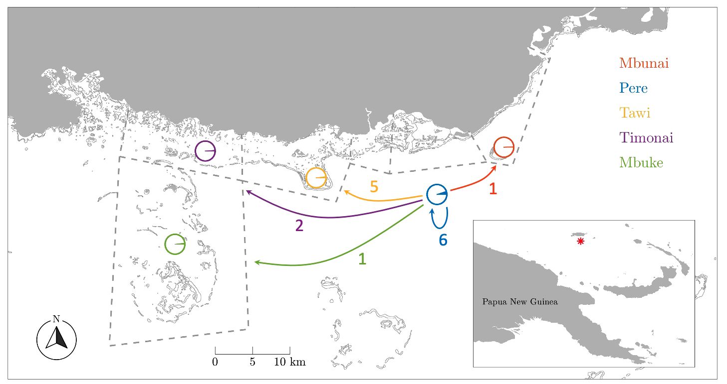 When Sea Cucumbers Spawn, Where Do Their Larvae Go? - Cool Green Science